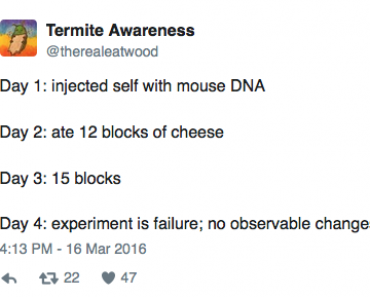 The 15 Funniest Tweets We Read This Week - Ruin My Week