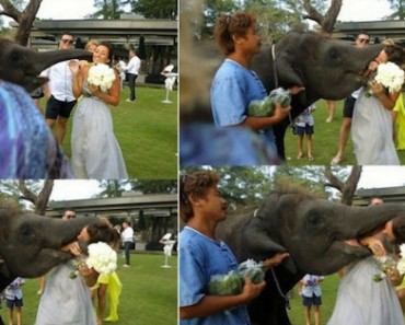 13 of the Funniest Text Message Conversations You'll Ever Read