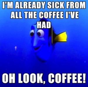 Really Funny Memes: Forgetful Dory