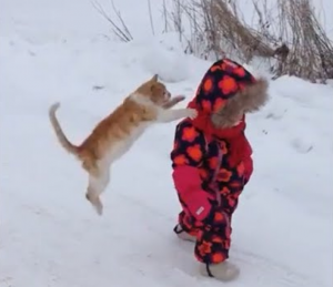 Animals vs. Small Children: A Funny GIF Collection