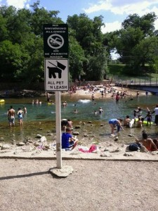 Join The Rebellion With These People Disobeying Signs