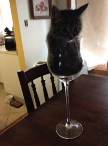 All Of These Things Are Hilariously Out Of Place