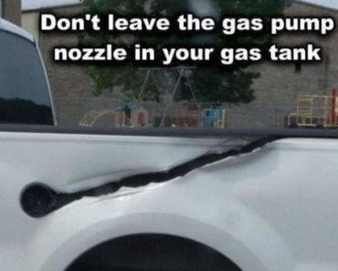 The Best Funny Pictures Of Today's Internet