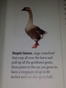 The Best Funny Pictures Of Today’s Internet