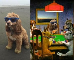 There Was An Epic Photoshop Battle With This Picture Of A Smug Dog