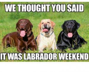 The Best Funny Pictures Of Today’s Internet