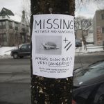 All Of These Funny Lost And Found Flyers Are Worth Stopping To Read