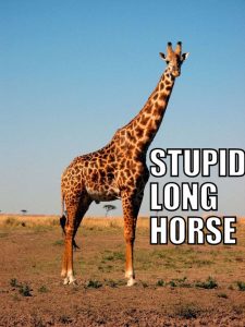 'Proper Animal Names' Shows Us What Happens If You Let The Internet ...