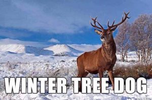 'Proper Animal Names' Shows Us What Happens If You Let The Internet ...