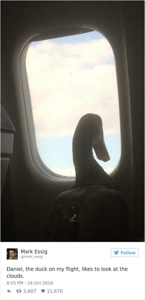 20 Of The Funniest Airplane Occurrences To Ever Take Place