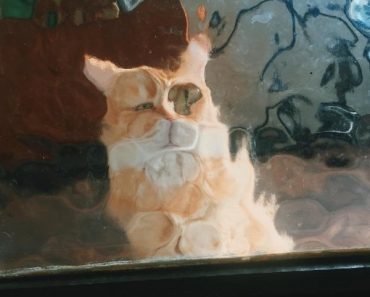 The Best Funny Pictures Of Today’s Internet