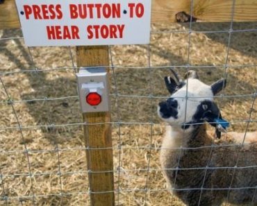 The Same GIF Of Jon Voight's Creepy Face In 'Anaconda' 16 Times In A Row