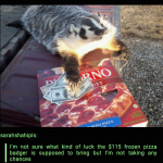 The Best Funny Pictures Of Today's Internet