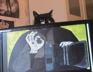 The Best Funny Pictures Of Today's Internet