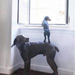 The Best Funny Pictures Of Today's Internet