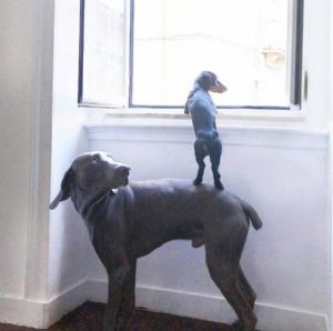 The Best Funny Pictures Of Today's Internet
