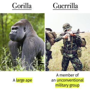 39 Things People Think Are The Same But Are Completely Different