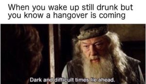 23 Hilarious Drinking Memes For Anyone Who Has A Borderline Drinking ...