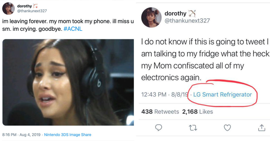 Fridge Tweet From Teen Ariana Grande Fan Goes Viral