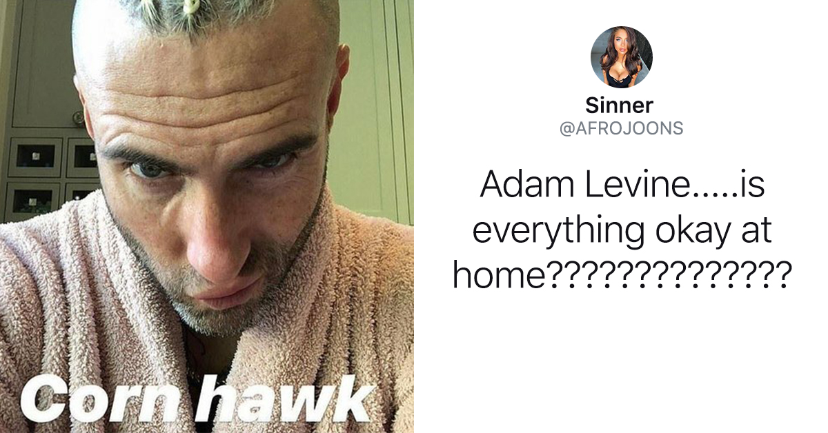 Adam Levine's New Cornrows Have Everyone Worried About Him