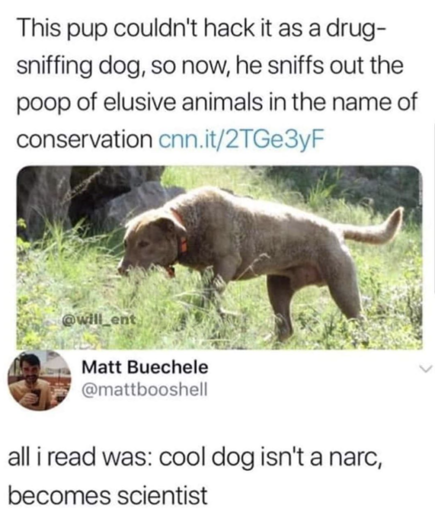 19 Of The Best Comments On The Internet This Week