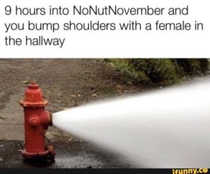 29 Of The Funniest No-Nut November Memes We Suddenly Had Plenty Of Free ...