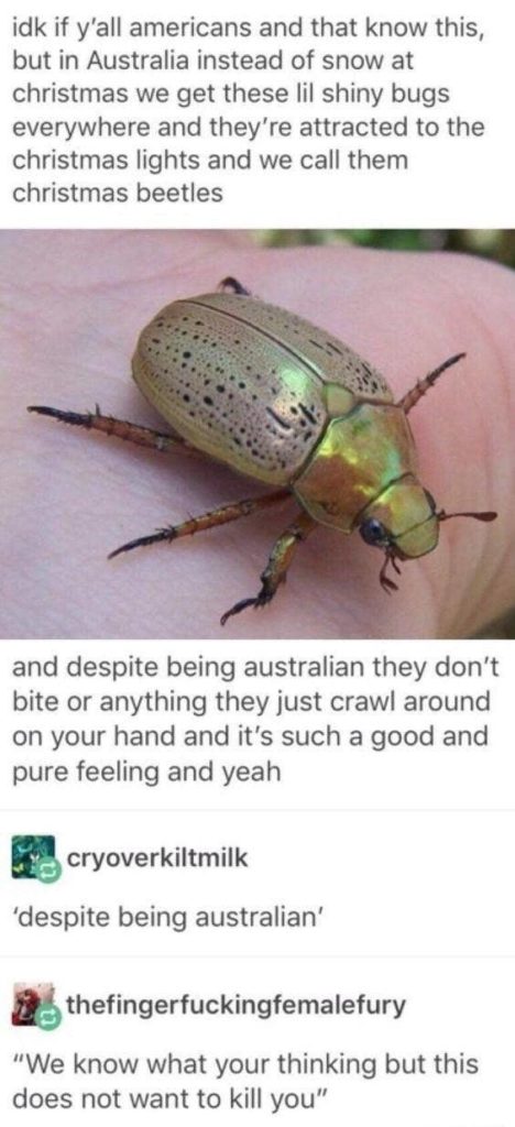 50 Christmas Memes Guaranteed To Deck Your Halls With Laughter