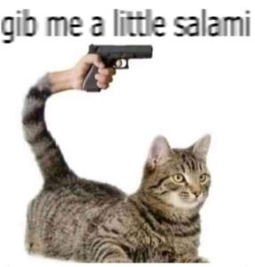 Yes Indeed, Cats Can Have A Little Salami (27 Memes)