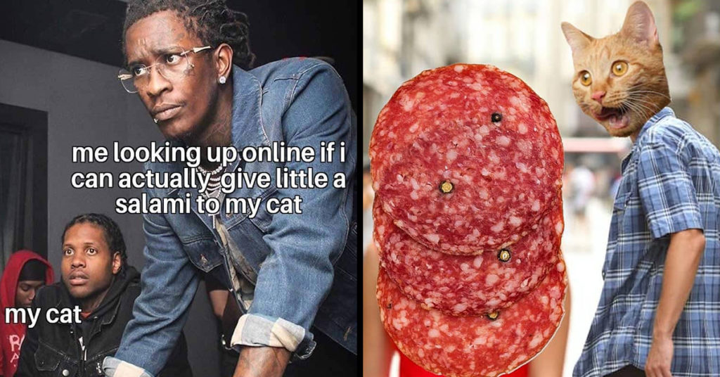 Yes Indeed, Cats Can Have A Little Salami (27 Memes)