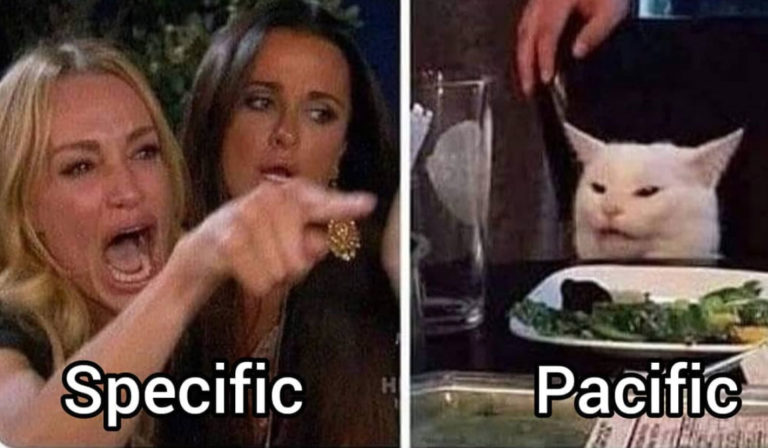"Woman Yelling At Cat Meme" Is Still Going Strong (31 Memes)