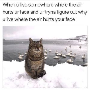 25 Ice Cold Memes For That One Friend Who's Always Freezing