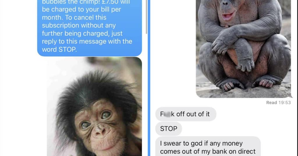 Girls Pulls A Great Chimp Text Prank On Guy Who Gave Her His Number