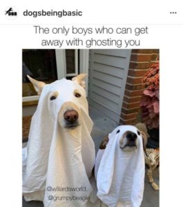 45 Memes That'll Make Single People Laugh, But Also Cry A Little