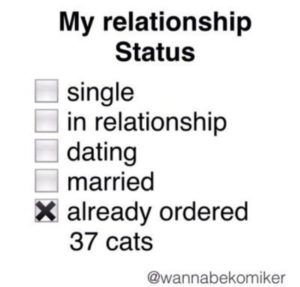 45 Memes That'll Make Single People Laugh, But Also Cry A Little