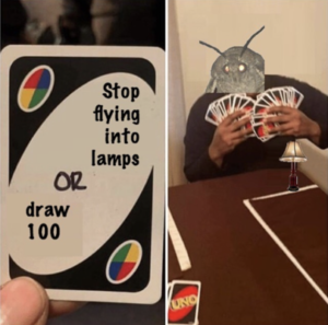 Date Someone Whose Name Starts With A J Or Draw 25 (Uno Memes)