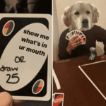 Date Someone Whose Name Starts With A J Or Draw 25 (Uno Memes)