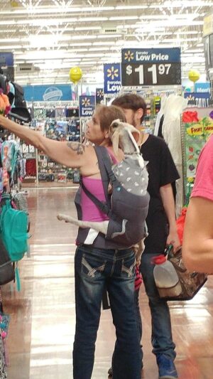 50 Of The Best And Funniest People Of Walmart Photos Of All Time (This ...