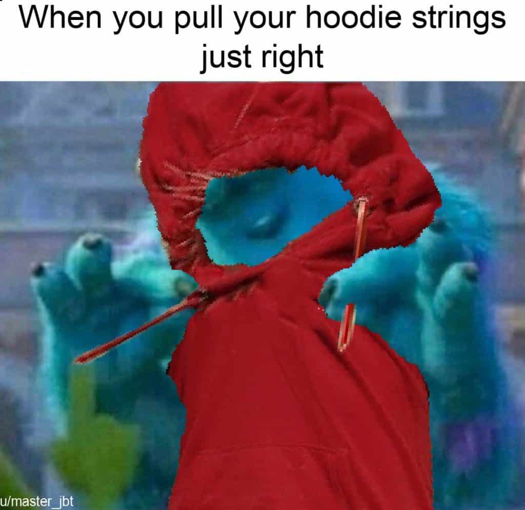 23 Monsters Inc. Sully Pinch Memes That Are Just Right