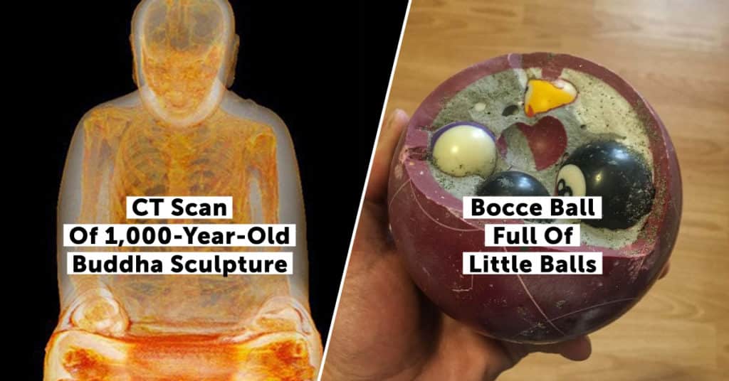 Oh, The Things People Find Inside Other Things (30 Pics)