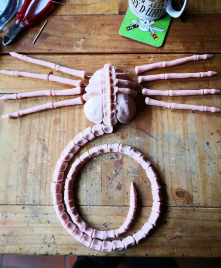 Woman's Protective "Alien" Facehugger Mask Goes Viral (12 Pics)