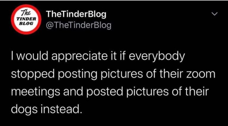 30 Funny Zoom Memes & Jokes To Laugh At While Your Mic Is Muted