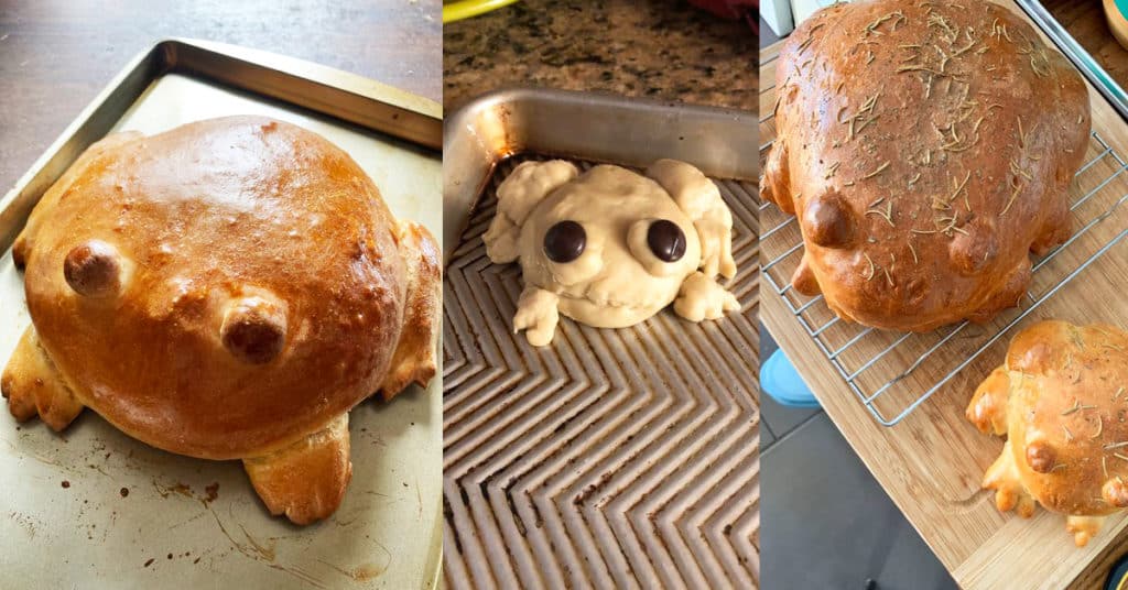 Frog Bread Trends On TikTok As A Popular Quarantine Activity