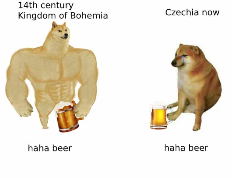 35 Of The Best Swole Doge And Cheems Memes We Had Time To Find