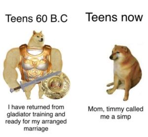 35 Of The Best Swole Doge And Cheems Memes We Had Time To Find