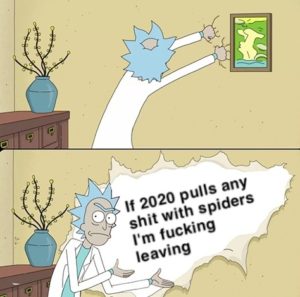 2020 Memes Prove This Is The Worst Year Ever (32 Memes)