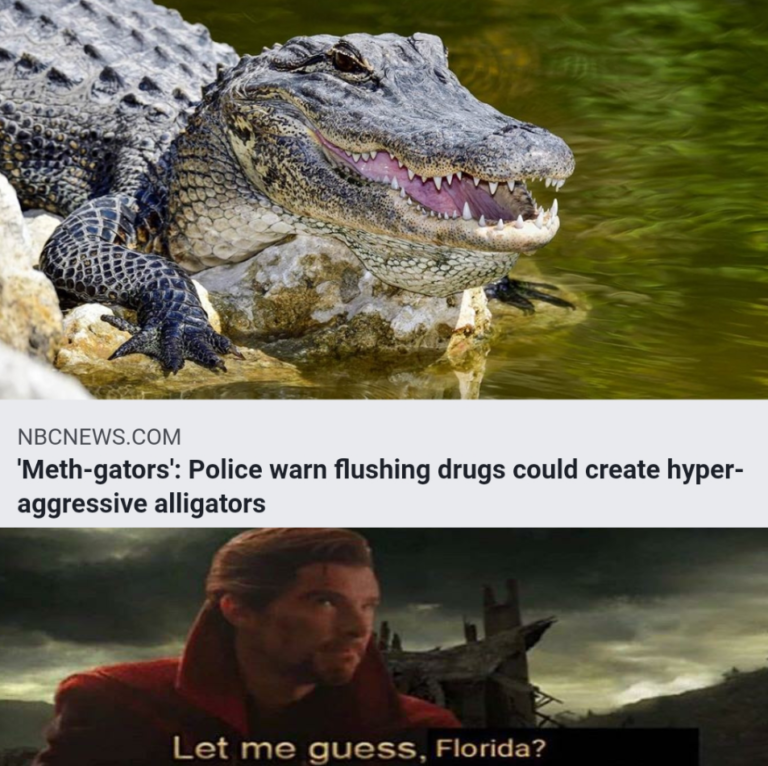 2020 Memes Prove This Is The Worst Year Ever (32 Memes)