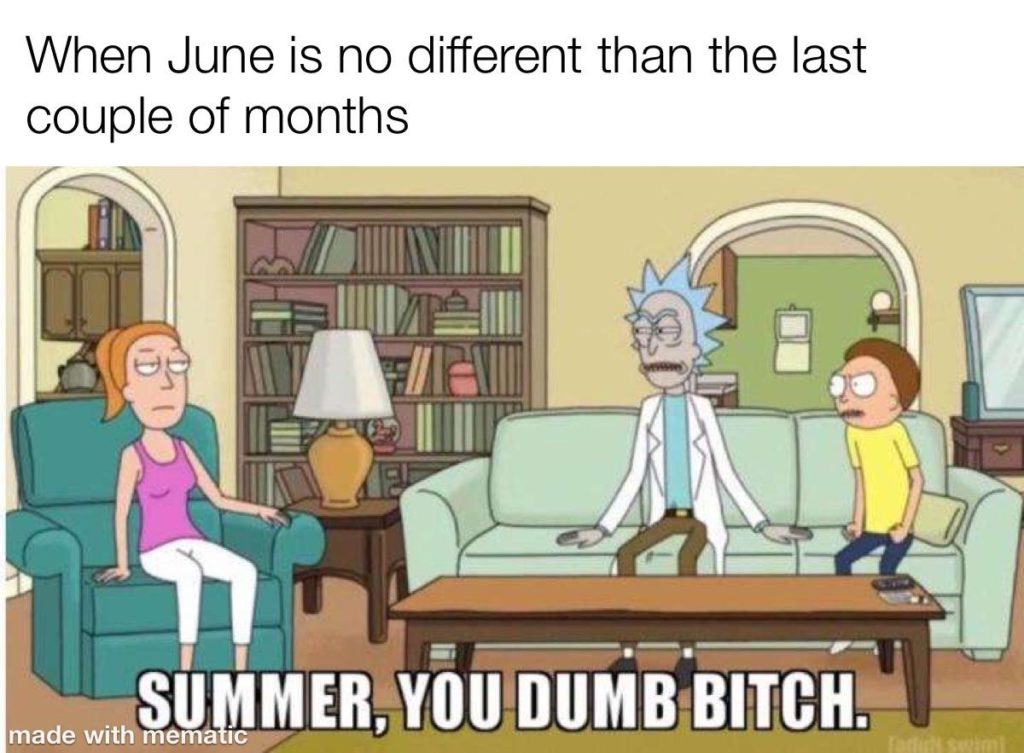 June 2020 Memes Mean We’re Almost Halfway Through 2020 (30 Memes)