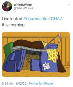 28 CHAZ Memes That Might Help Explain What CHAZ Is