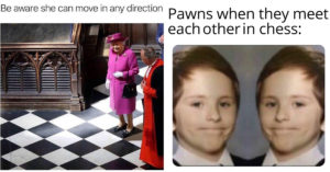 30 Chess Memes Even A Lowly Pawn Can Appreciate