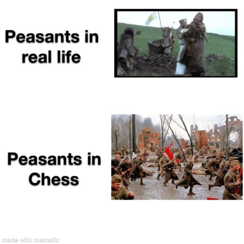 30 Chess Memes Even A Lowly Pawn Can Appreciate